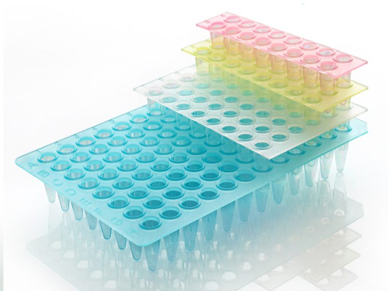 Azenta Non-Skirted Red PCR Plate Segment, 6 x 8 wells - meslo