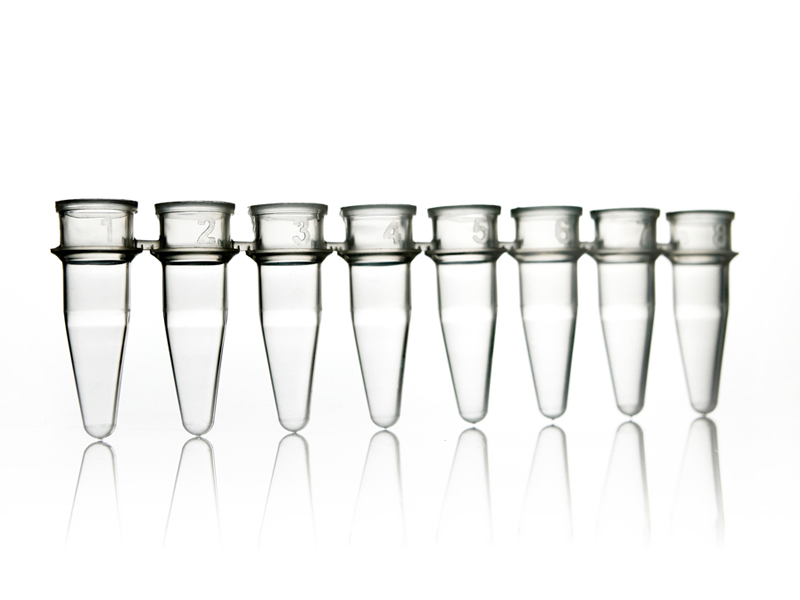 Azenta 8 Well PCR Tube Strip - meslo