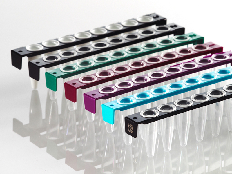 Azenta 8 Clear Well PCR Tube Strip with White PC Frame - meslo