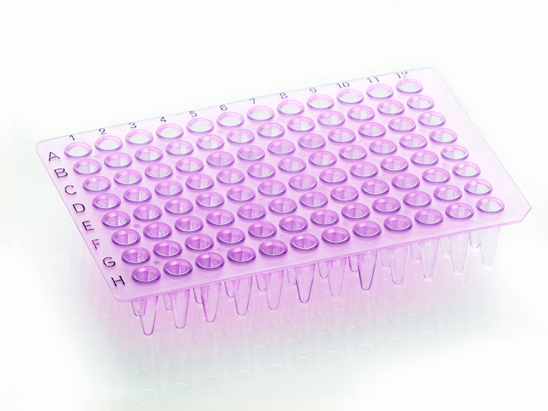 Azenta 96 Well Non-Skirted Purple PCR Plate (50 plates) - meslo