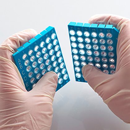 Azenta FrameStar Breakable Vertically PCR Plate, Low Profile - meslo